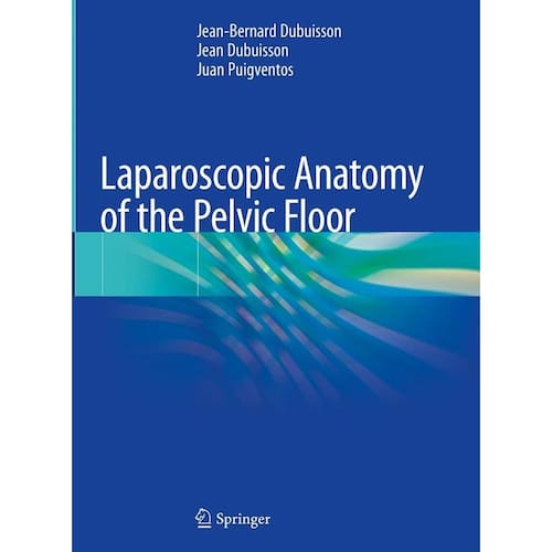Laparoscopic Anatomy Of The Pelvic Floor | Ponto